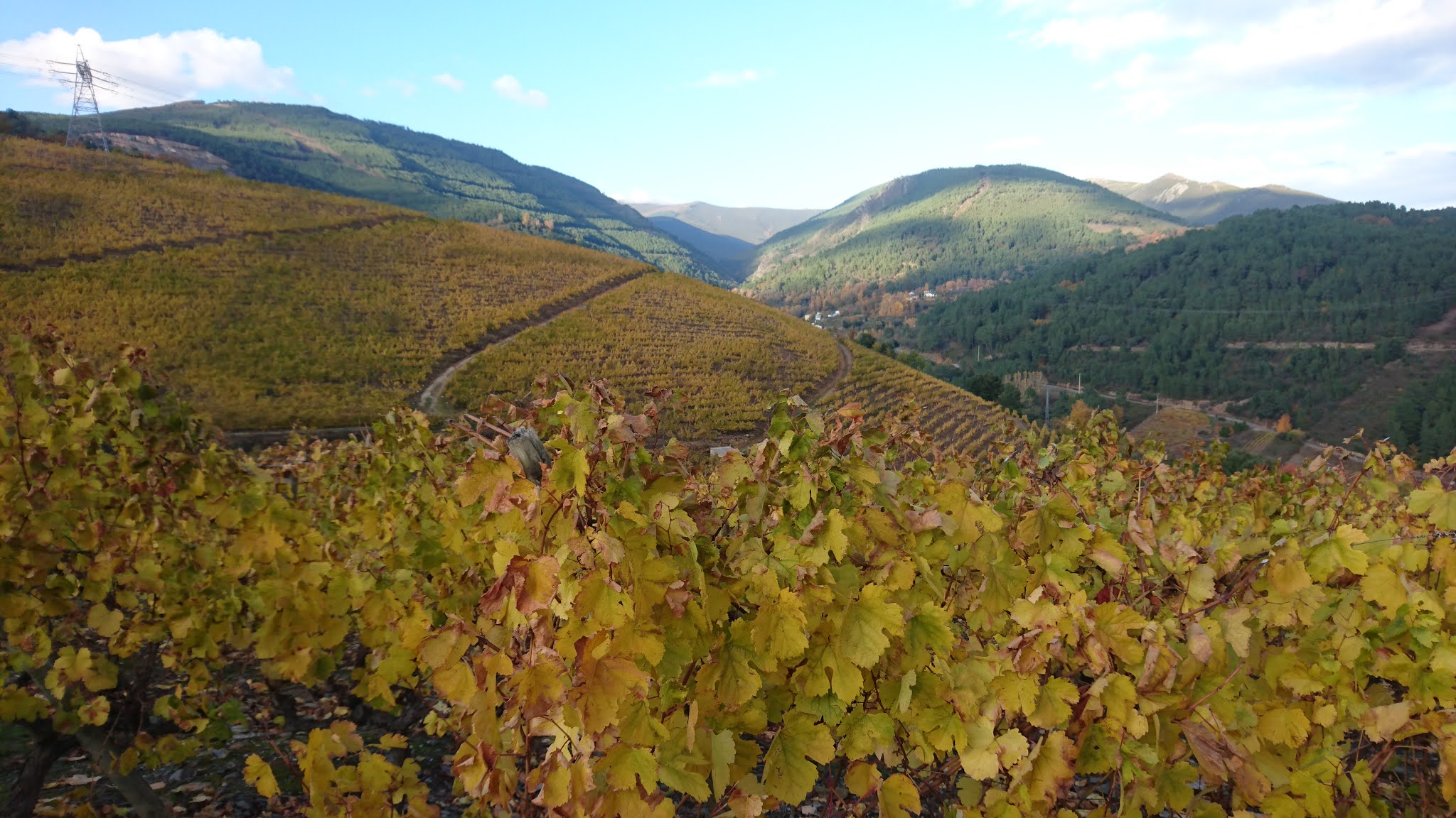 Somos Valdeorras, enoturismo : Descubre el otoño en Valdeorras con ...