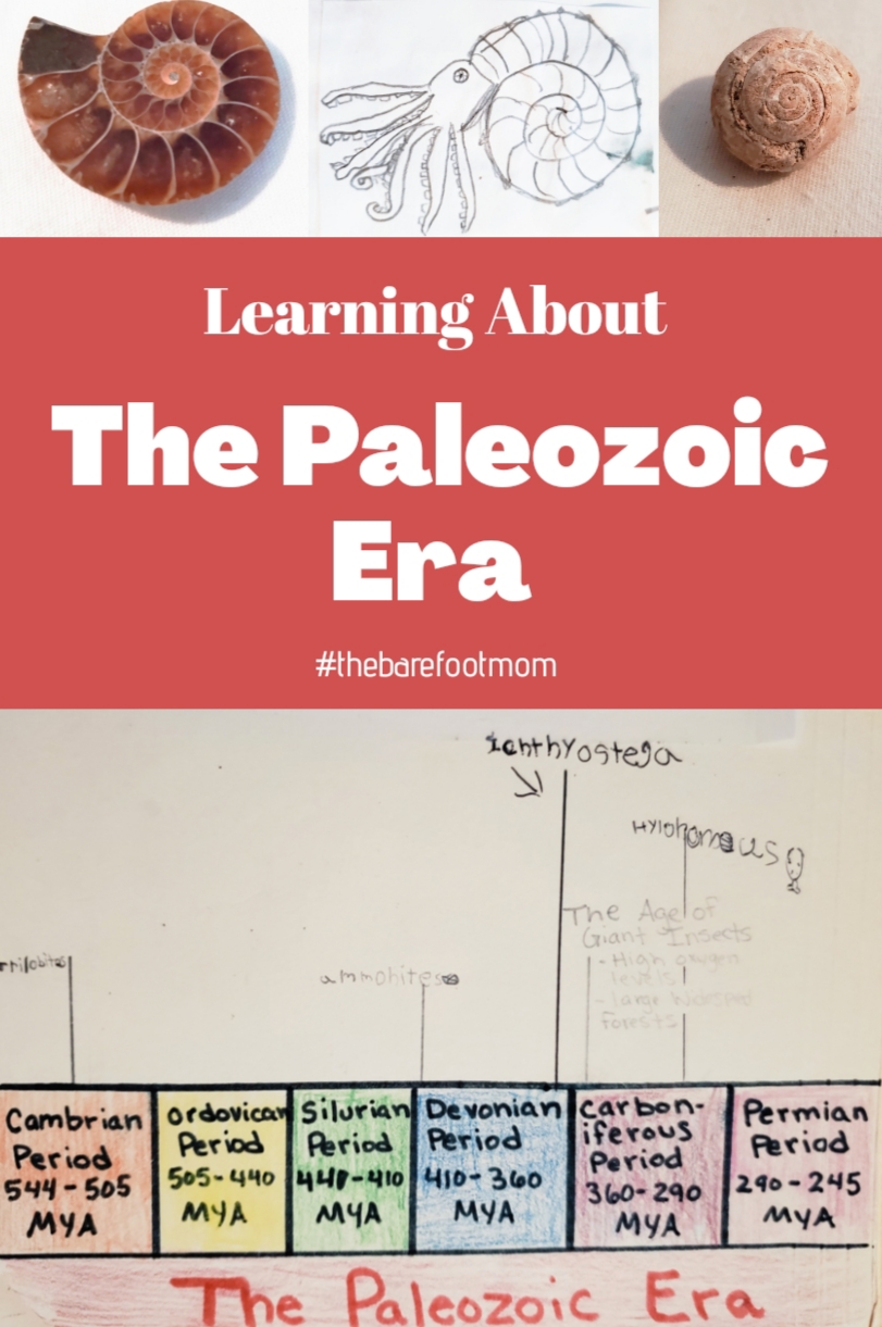 Learning About Geologic History- The Paleozoic Era