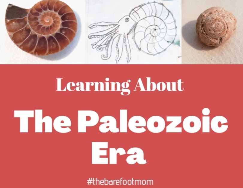 Learning About Geologic History- The Paleozoic Era