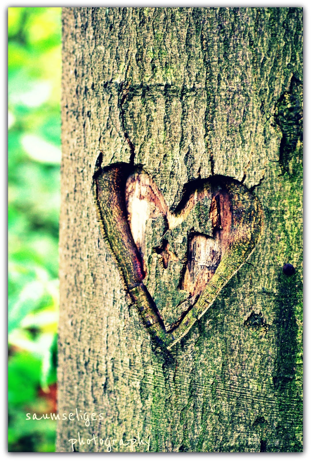 saumseliges: °°... zeichen der LIEBE! / signs of LOVE!