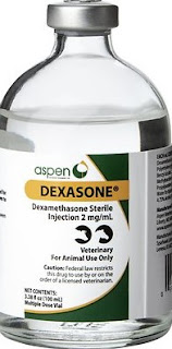 دواء أون لاين: Dexamethasone ديكساميثازون