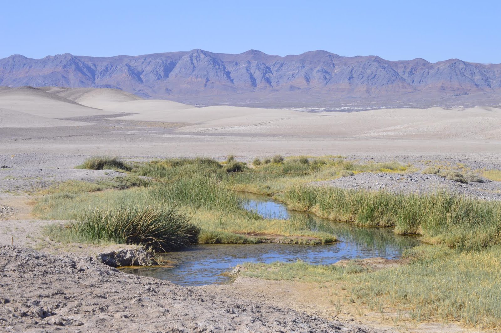 Tecopa - Virtual Mirage