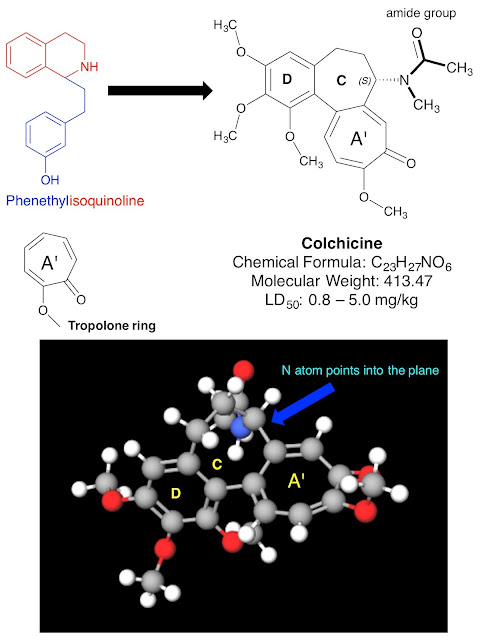 Science: Mitotic Poison, Colchicine