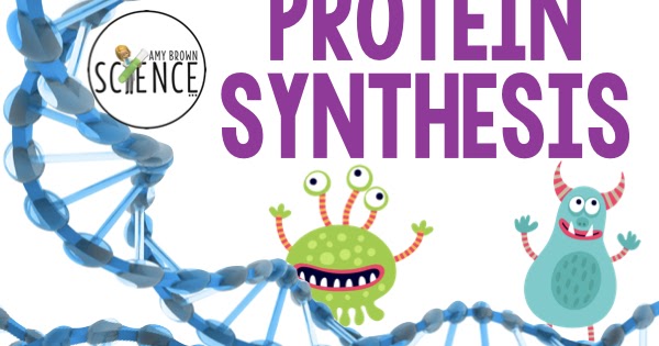 Amy Brown Science: Reinforce Protein Synthesis with this Fun Game