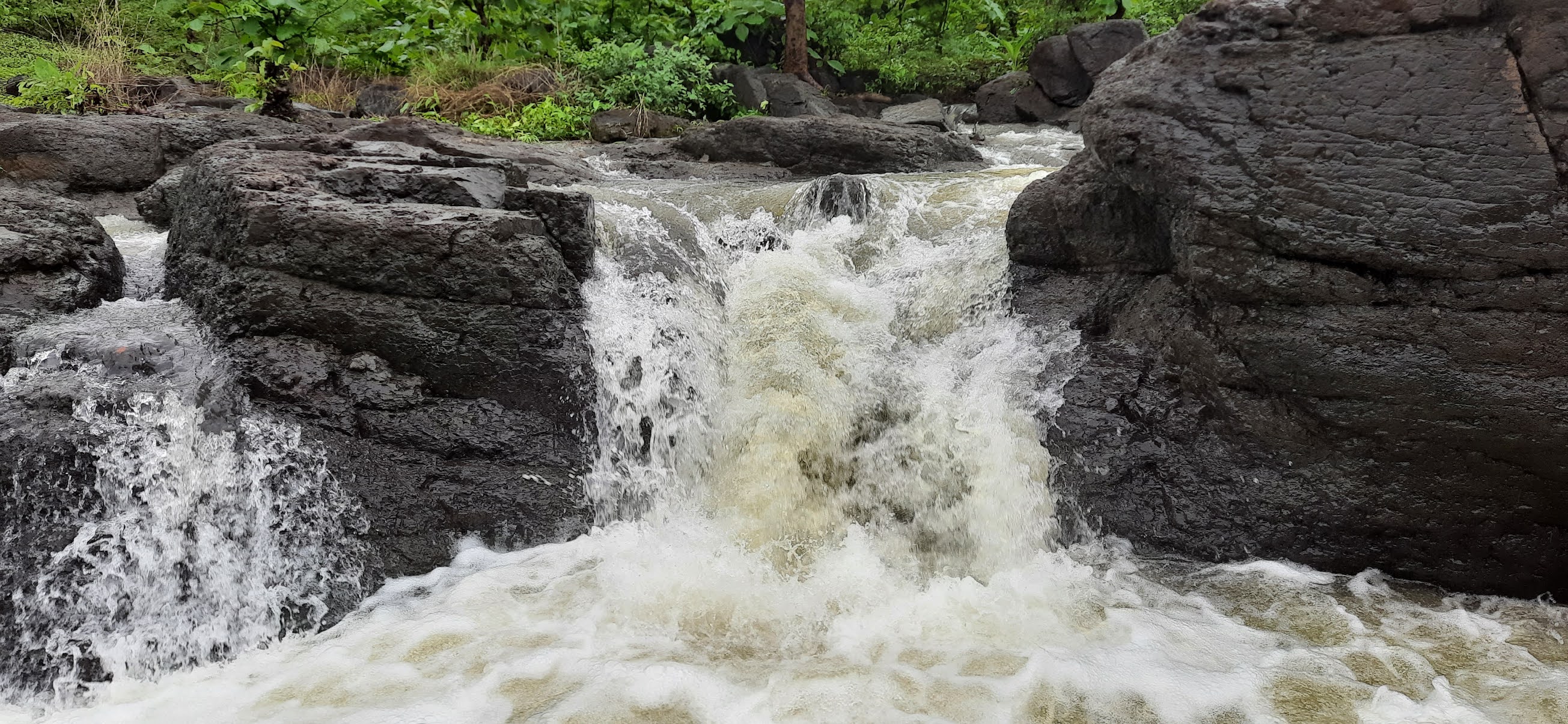 Sharad Pandhare's Educational Blog: Incredible Nature