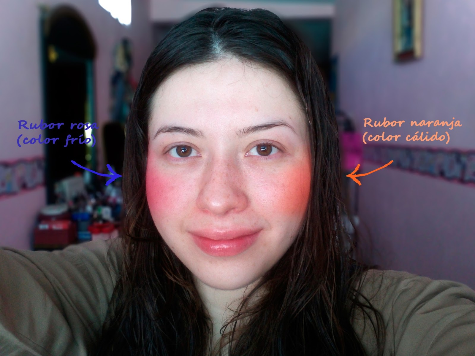 ROSA DE FONDO: Sobre colores favorecedores a cada tono de piel