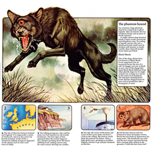 Usborne World of the Unknown: All About Ghosts : A Celebration