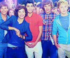 Tutto su gli One Direction.