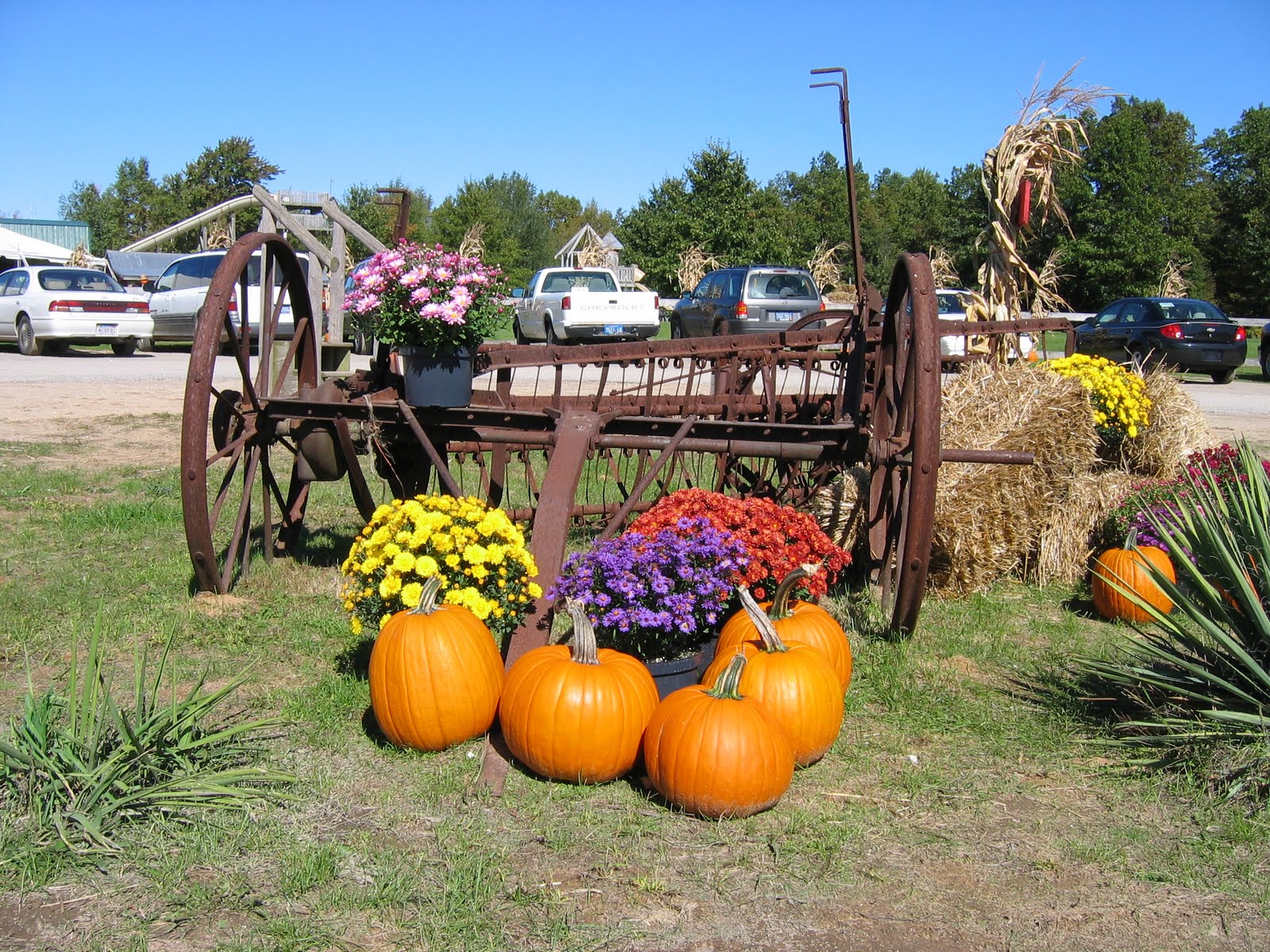 Double JJ Pony Tales: Fall Fun Preview