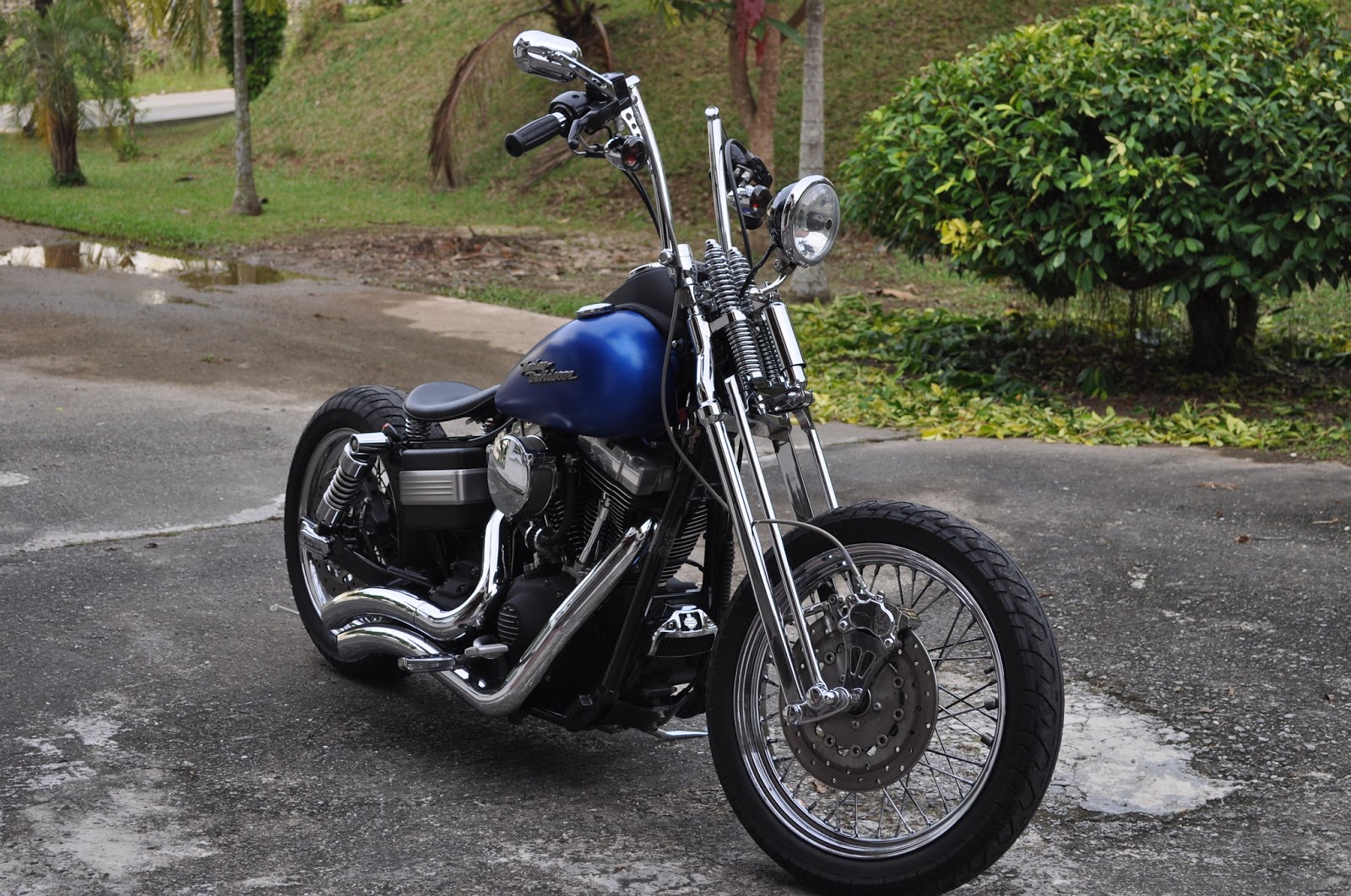 biker excalibur II: Dyna Springer Blue