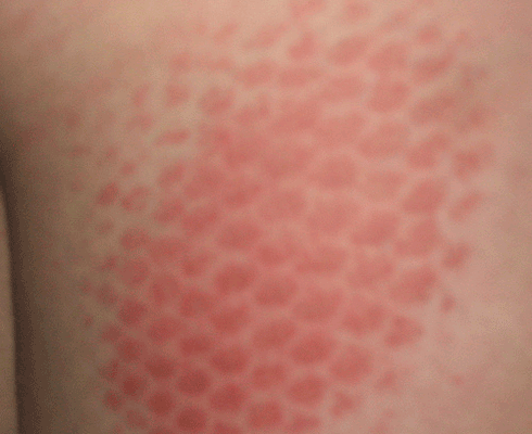 Avonex and 8 Wheels: For the Love of Words: Fishnets Edition