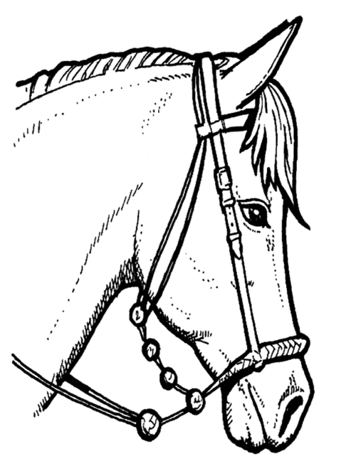 Cavalos para Colorir e Imprimir ~ Atividades Educação