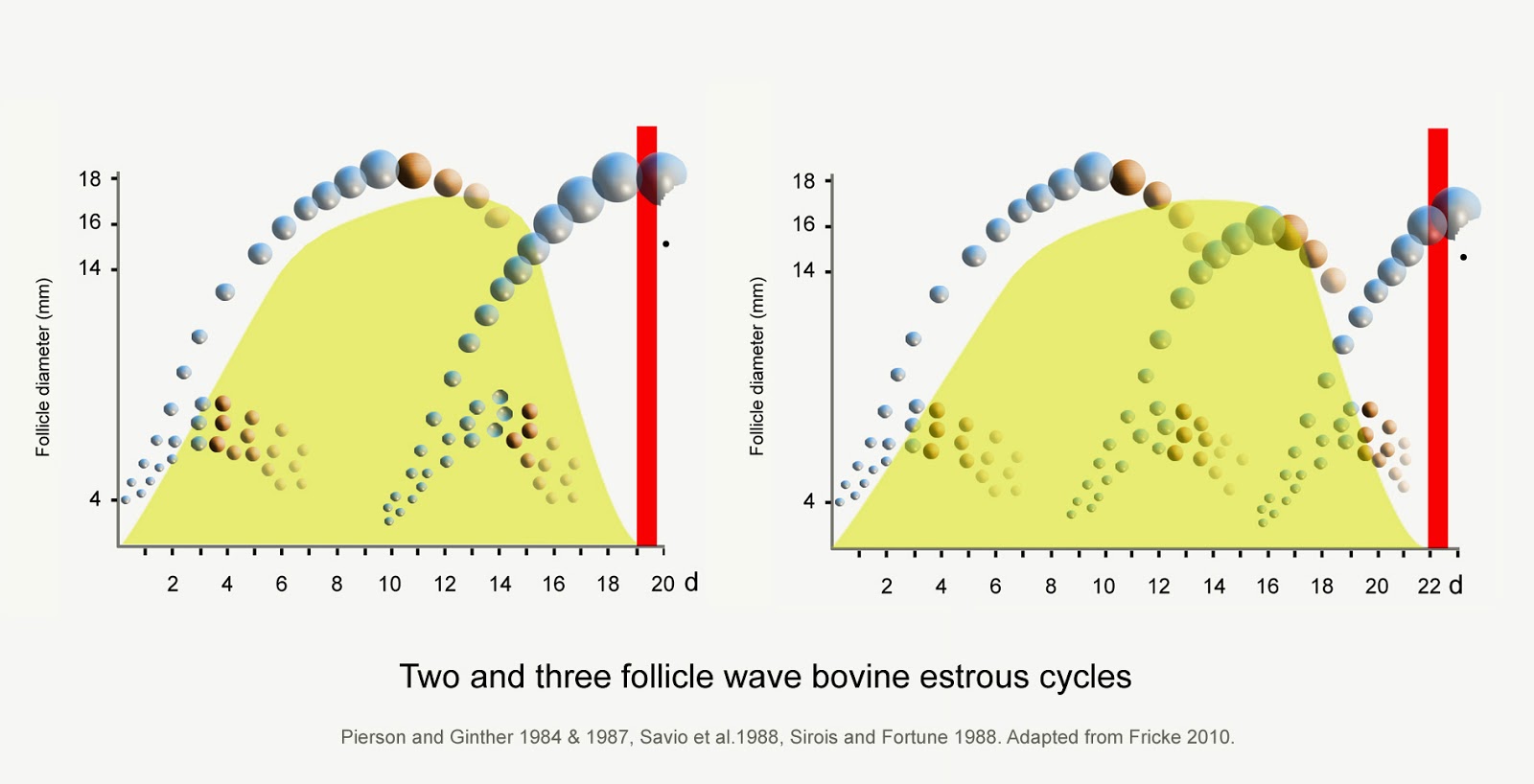 LORI.bovine : August 2013