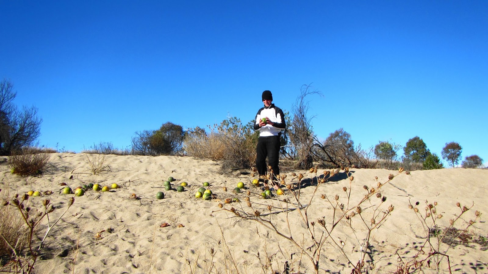 ROCK'S ADVENTURES: AUSTRALIA - CANBERRA - THARWA BRIDGE TO POINT HUT ...