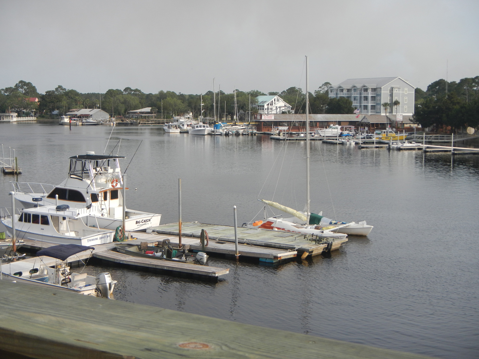Life Aboard a Seawind 24: Citizens of Steinhatchee?