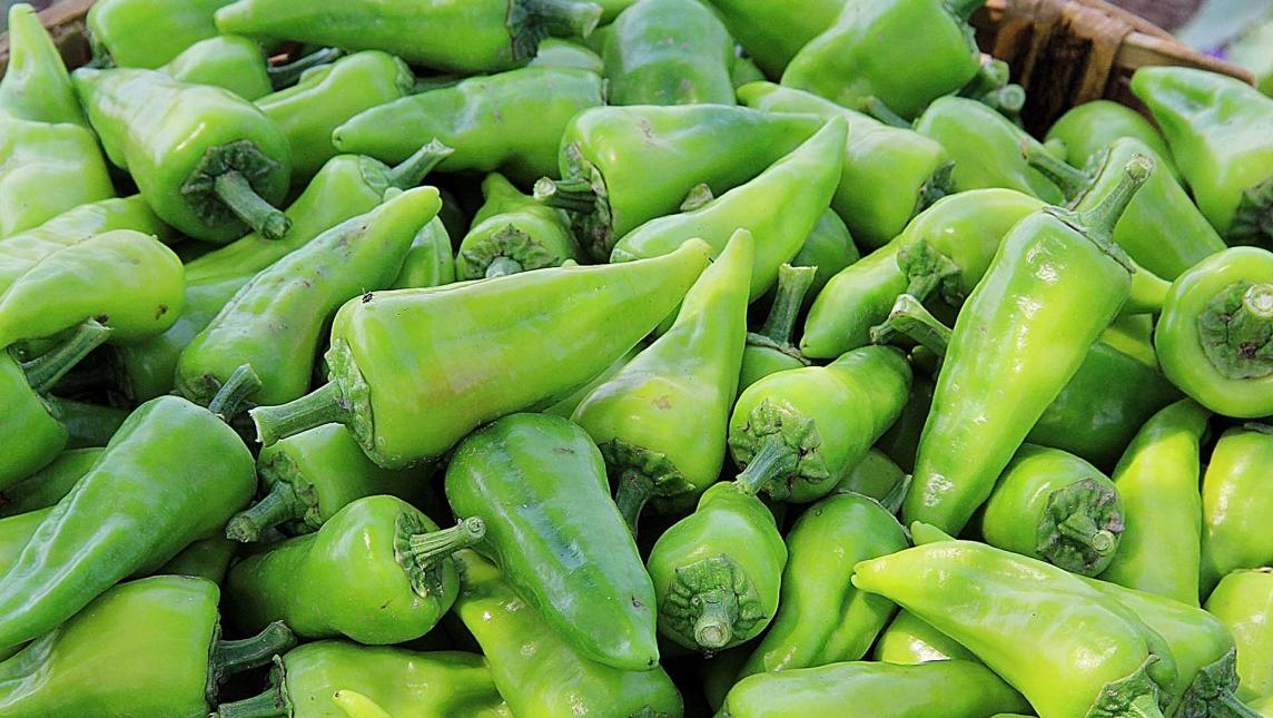 Chiles de México: Chile Xkat´ik