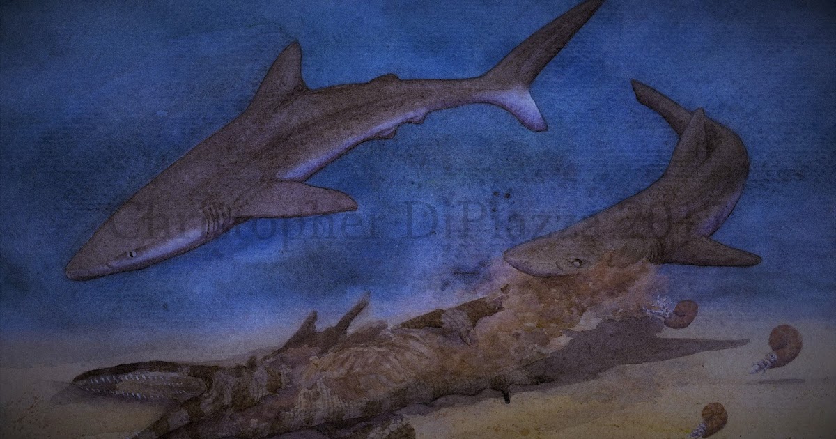 Prehistoric Beast of the Week: Squalicorax: Beast of the Week