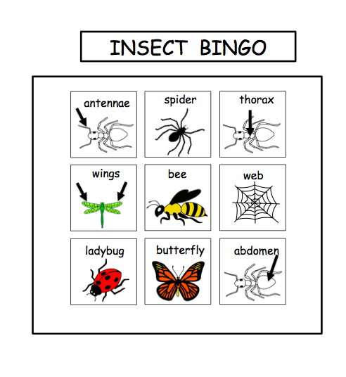 Autism Tank: Science Preview: Insects