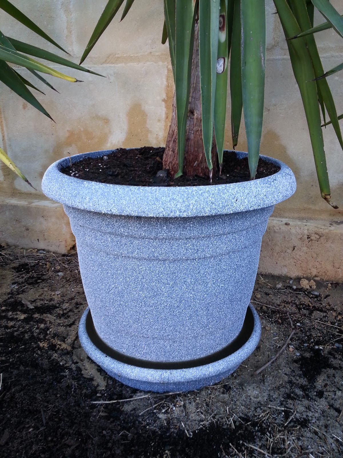 Jarrah Jungle: DIY: Plastic Pots + Spray Paint = Granite Look Pots