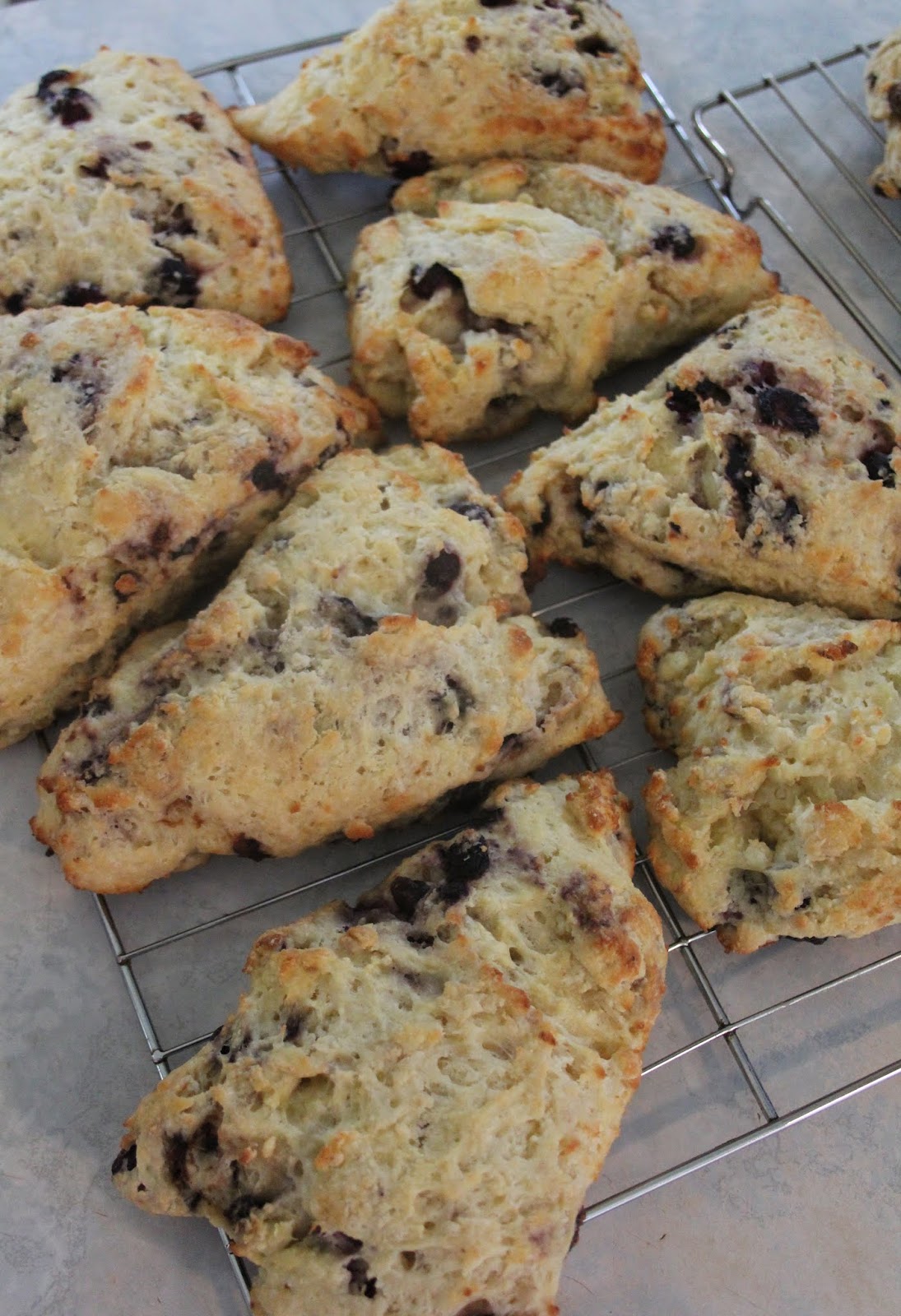 Jo and Sue: Saskatoon Scones