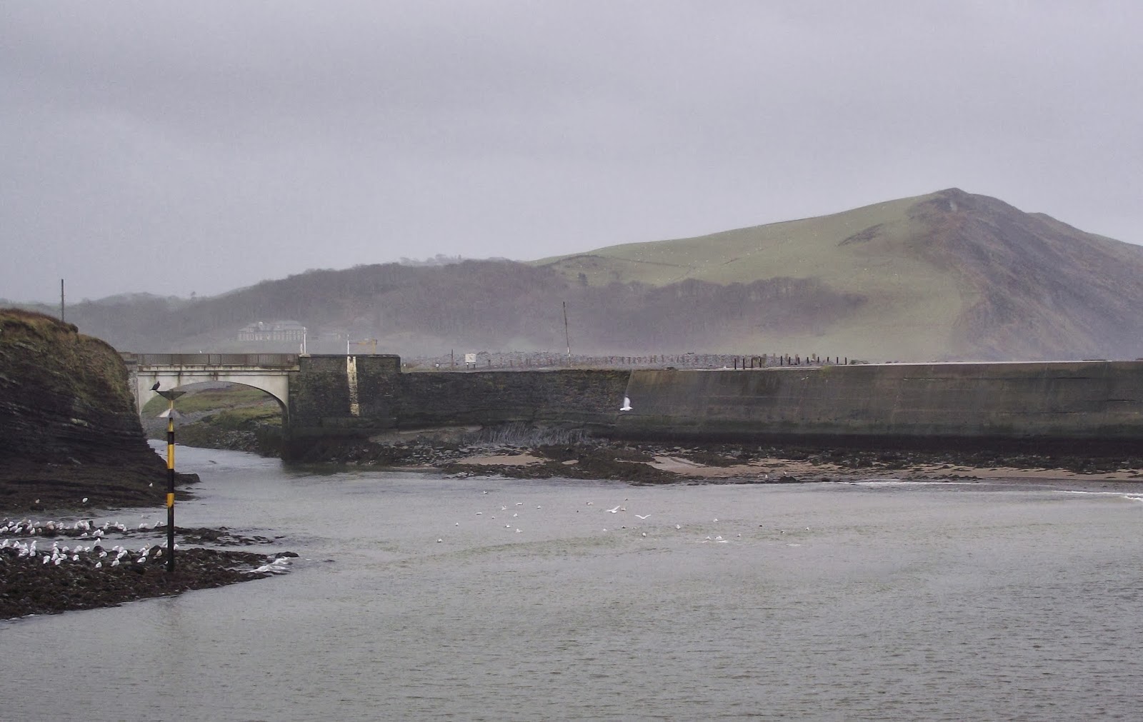 YoungManGoneWest: Aberystwyth Harbour