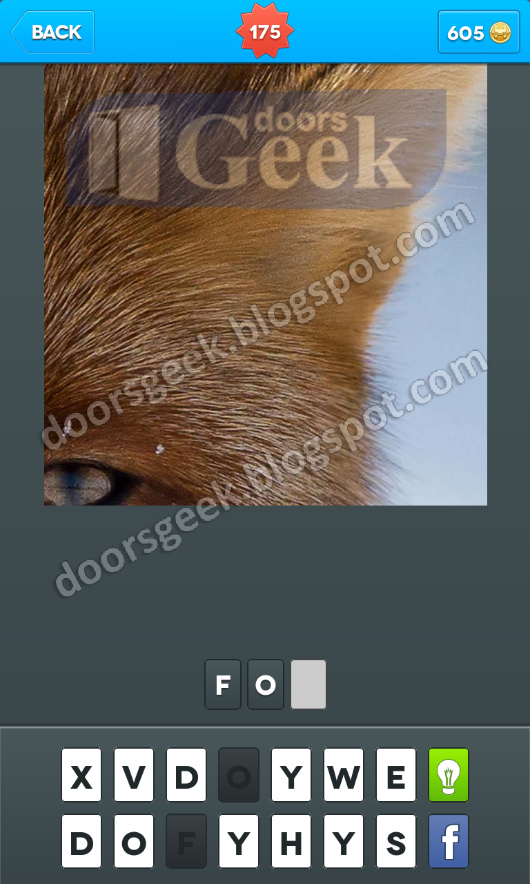 Zoomed In - Photo Word Game Level 175 ~ Doors Geek