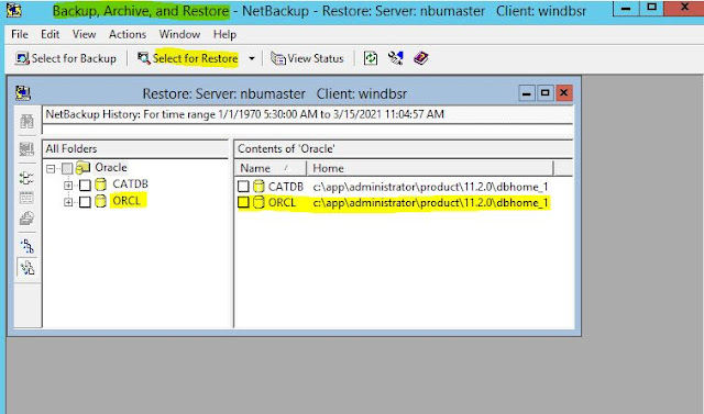 Remote Infrastructure Management: NetBackup - Performing ORACLE ...