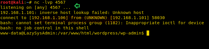 WordPress: Reverse Shell - Hacking Articles