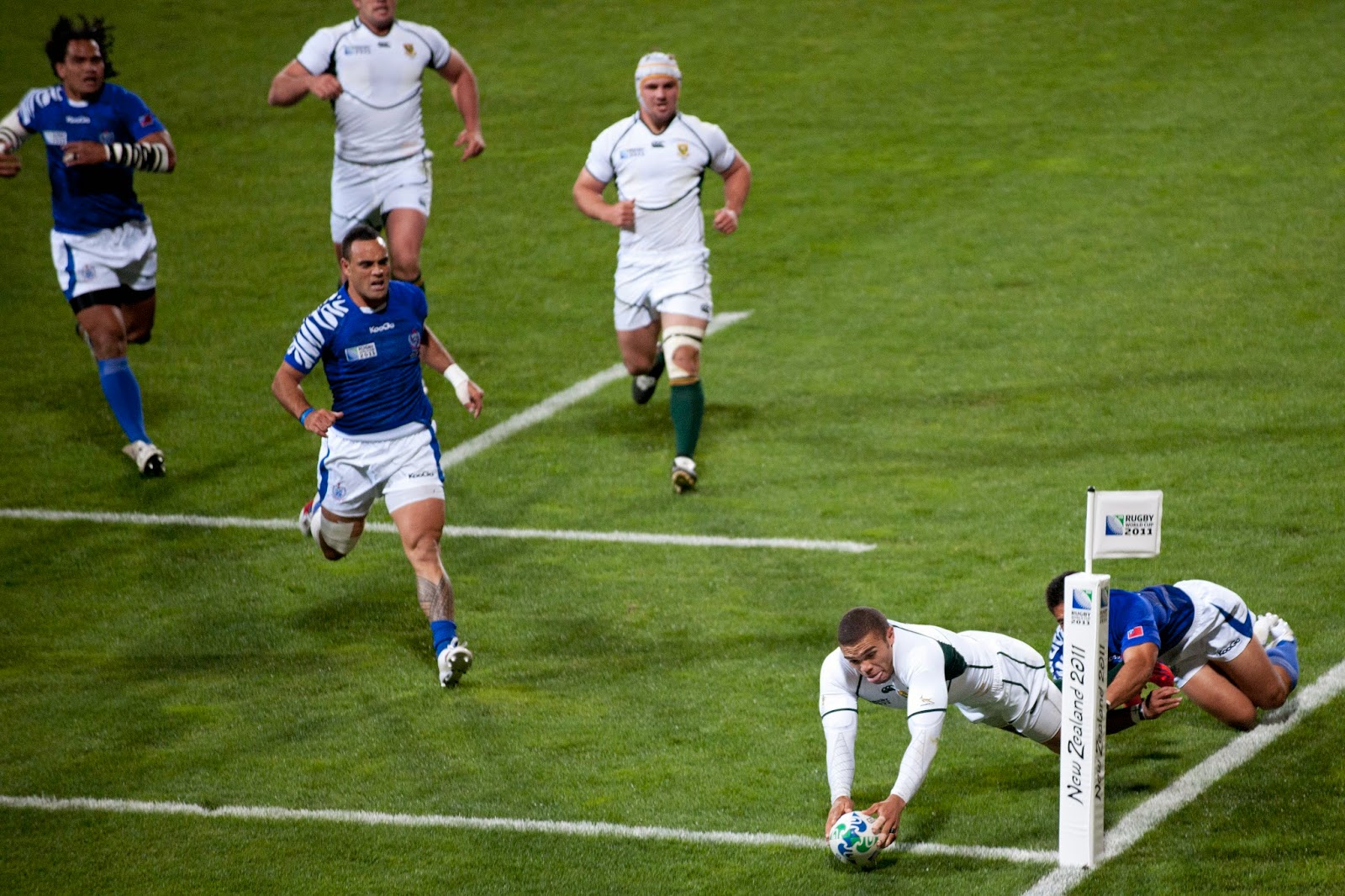 Brighton and Hove celebrates in the lead up to Rugby World Cup 2015