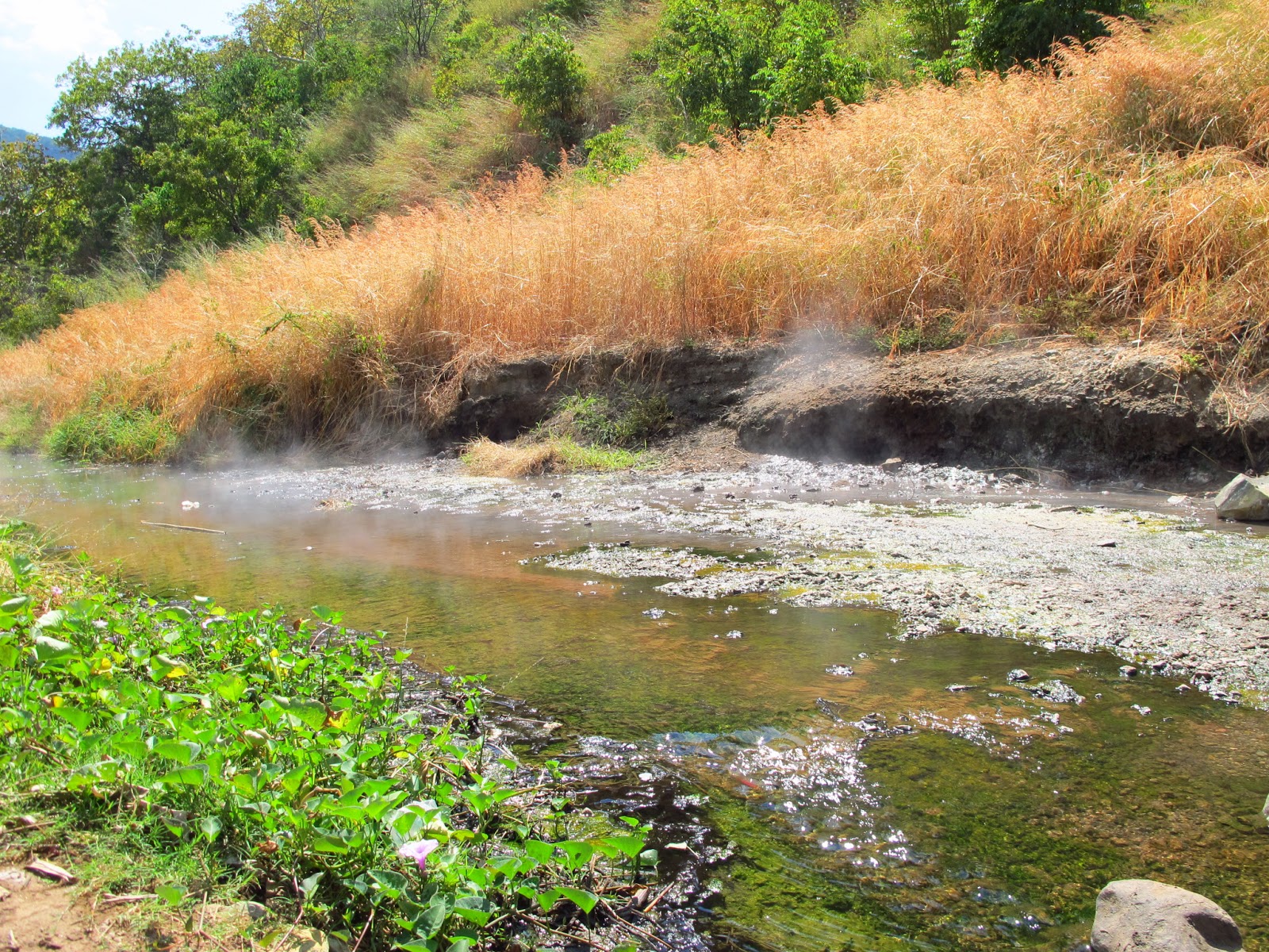 Leo in Malawi: Hot spring close to Chiweta and walk participants