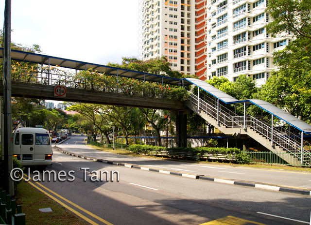 Singapore Overhead Pedestrian Bridges