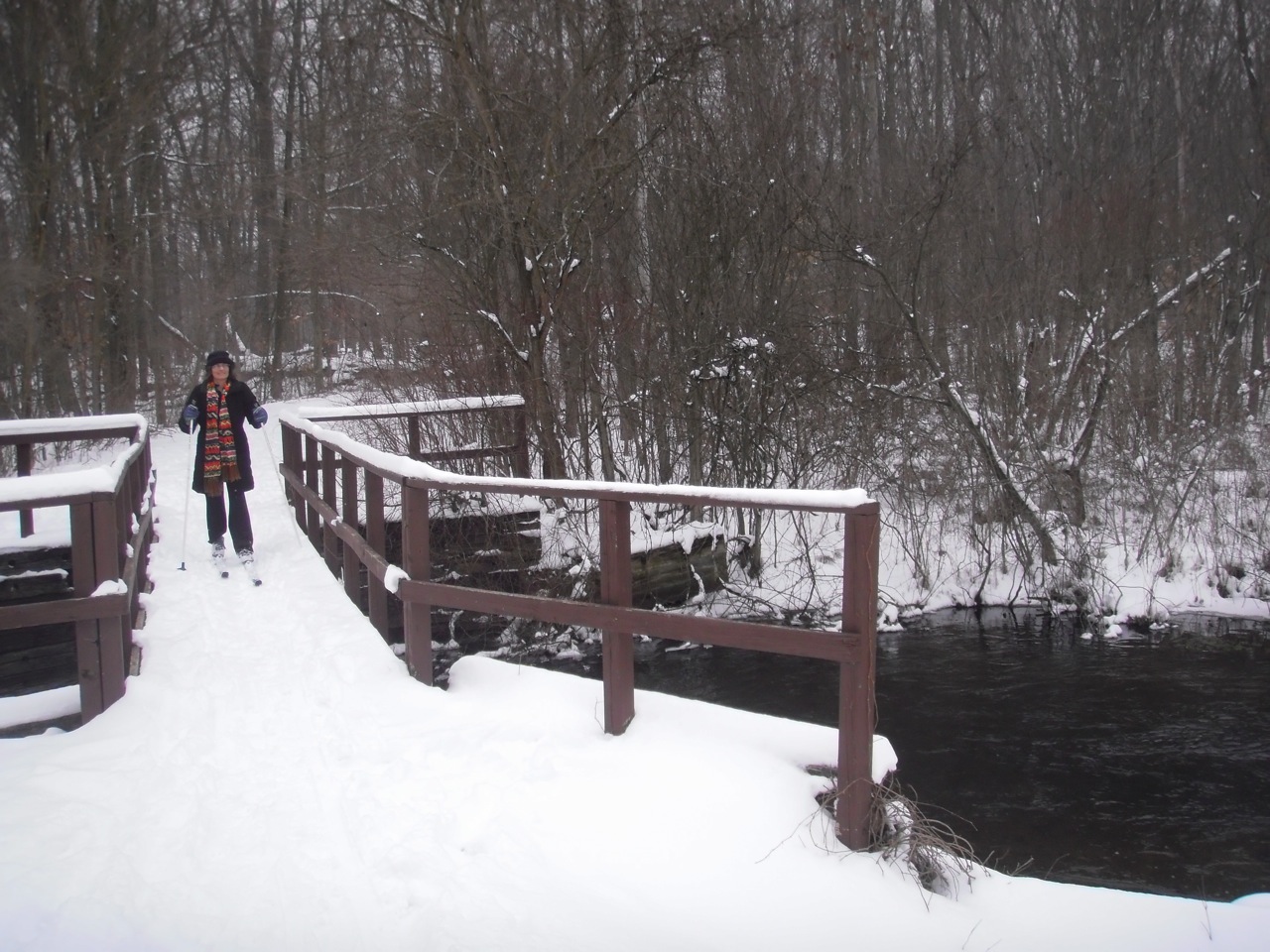 Kalamazoo Seasons: Ski Russ Forest