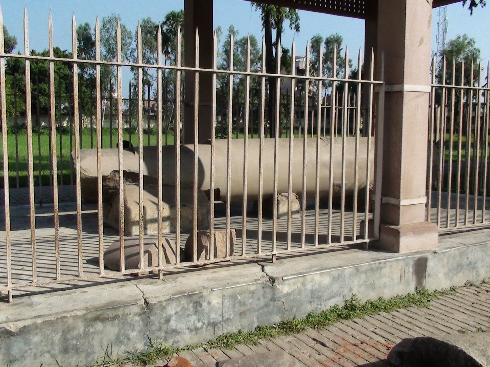 Varsha's travels!: THE GREAT MAGADH CAPITAL-PATNA