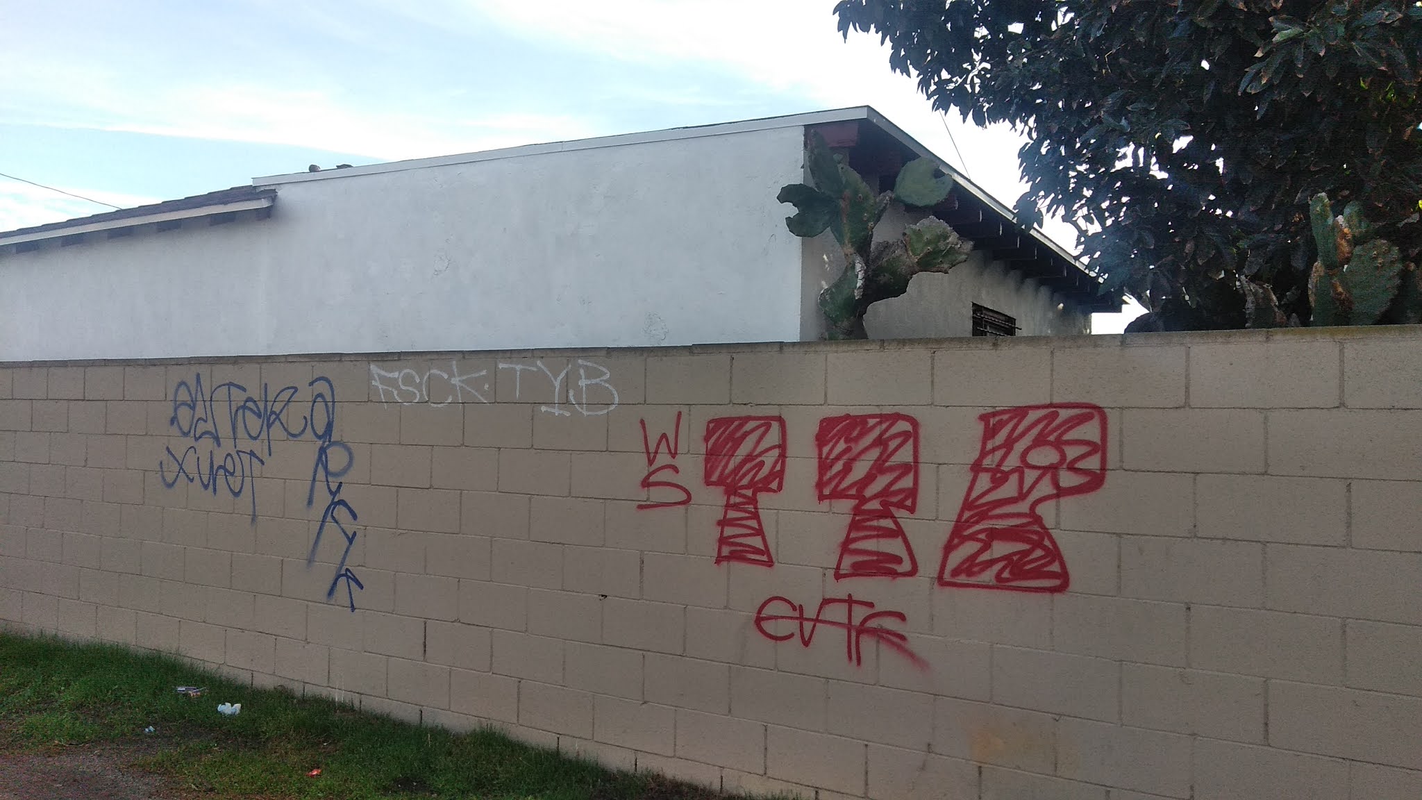 blood gangs graffiti: Tree top piru ( compton , TTP )