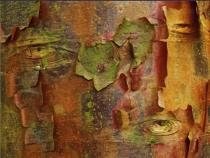 Kate Massey: Tony Howell - abstract photographer and Snibston talk