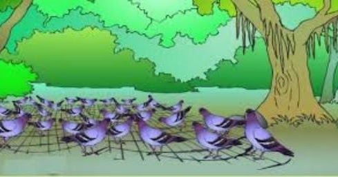 The Pigeons and the Hunter : Unity is strength - Moral Stories For Children