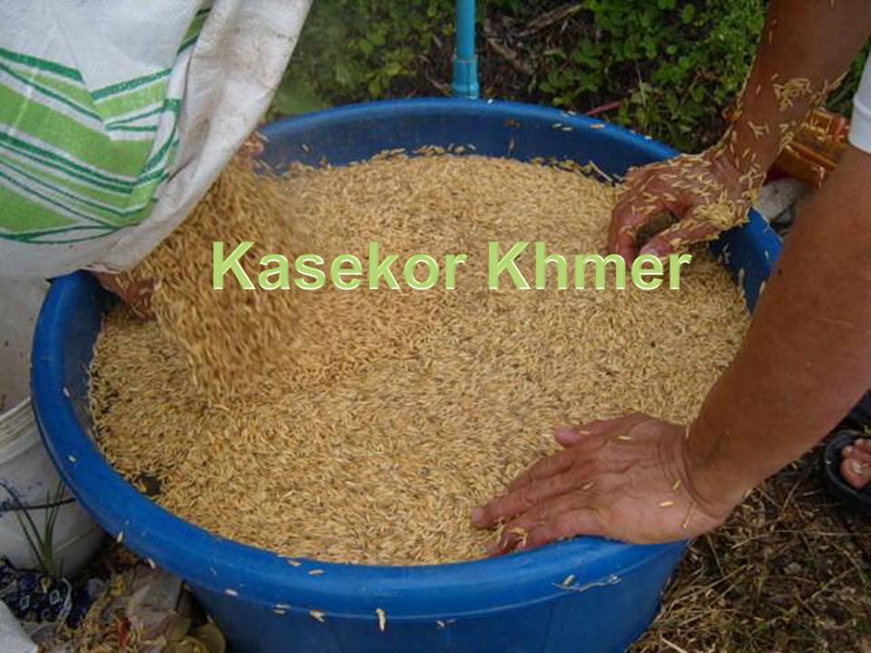 កសិករខ្មែរ-Kasekor Khmer