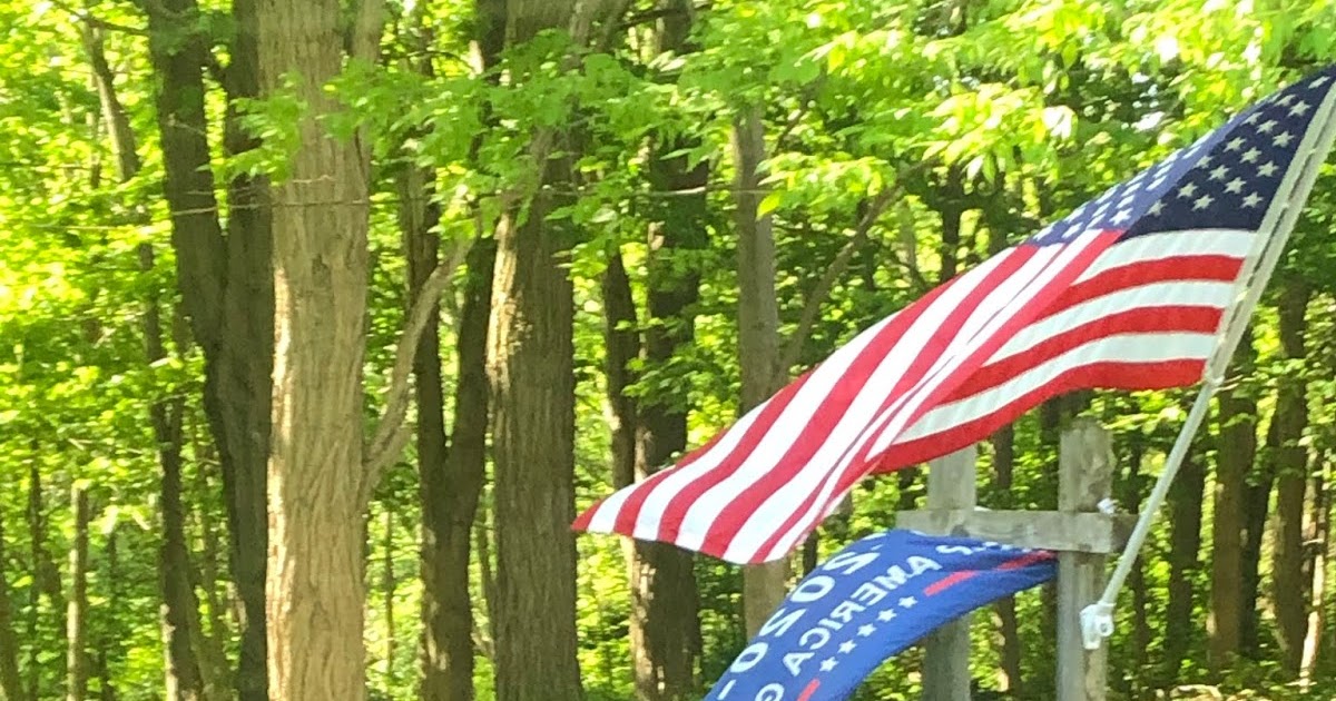 Contrariety [sic erat scriptum]: Confronting the Endemic Cultures of ...