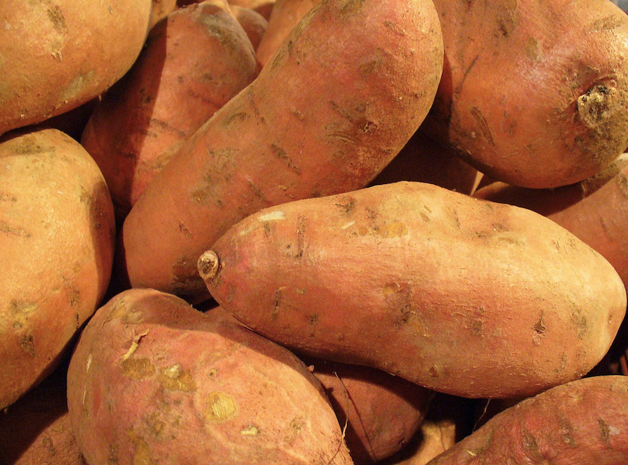 NephiCode: Was Polynesia Settled from South America – Part VII