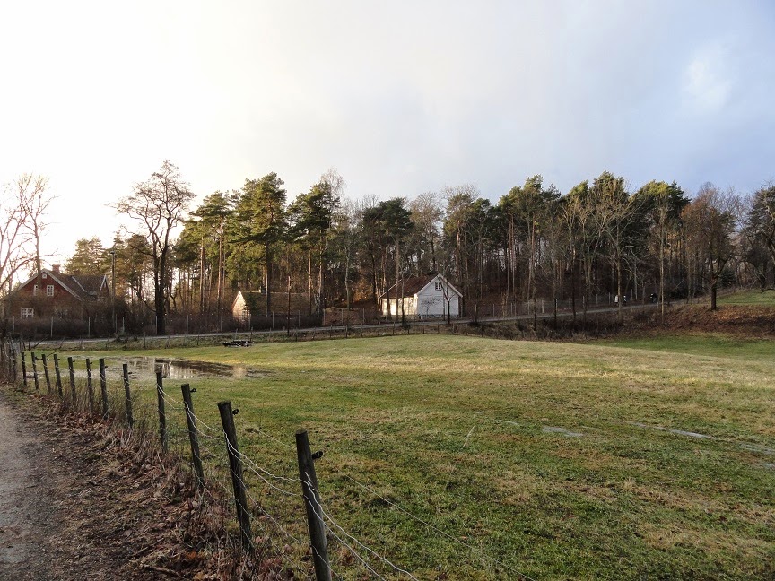 Travels around the world: Norway - 25 - Oslo countryside