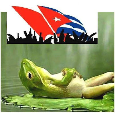 Imagen de flojera - Imagui