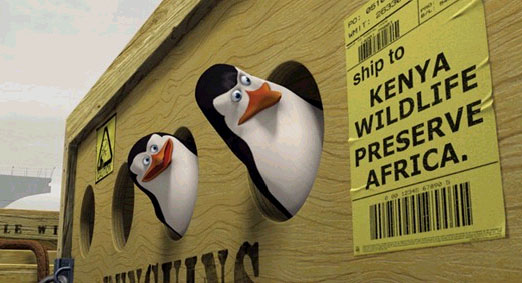 LET'S SEE...: madagascar