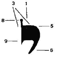 Jerusalem Baptist Church in Jerusalem : The powerful Hebrew letter Yud