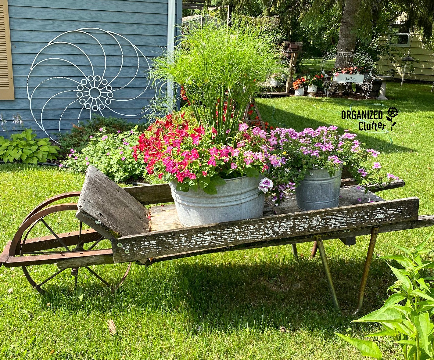 Prince Tut Annual Grass/Nicotiana Combo Laundry Tub Planter - Organized ...
