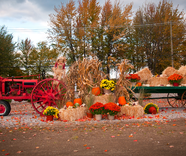 Fun Things To Do With Kids in Chester County