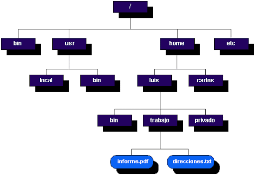 Estructura de archivos