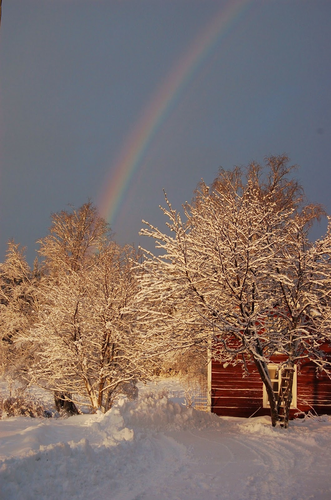 Lisas Vinterland: Bildbomb - mitt vinterland