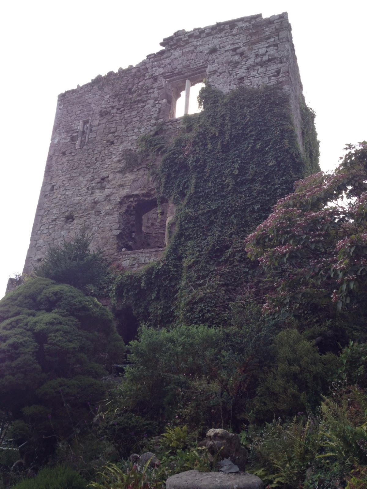 Feather On A Wire: Yesterday we went out again and stumbled on another ...