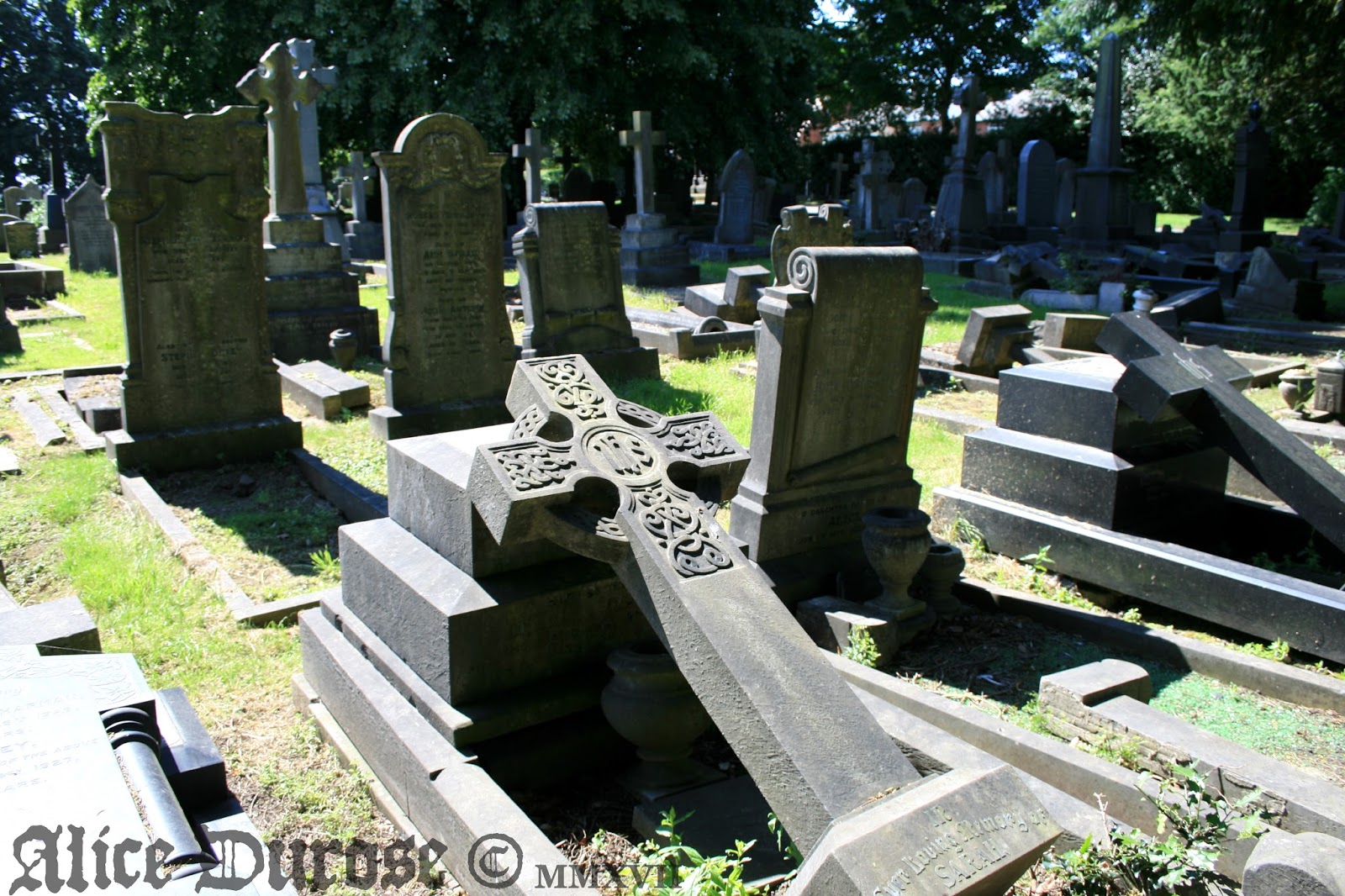 Danse Macabre: Marlpool Cemetery