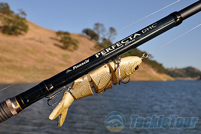 NATURE FISHING: Pinnacle Perfecta Rods